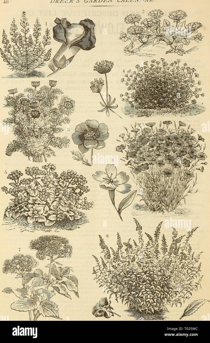 Dreer's garden calendar : 1883 . dreersgardencale1883henr Year: 1883 ...