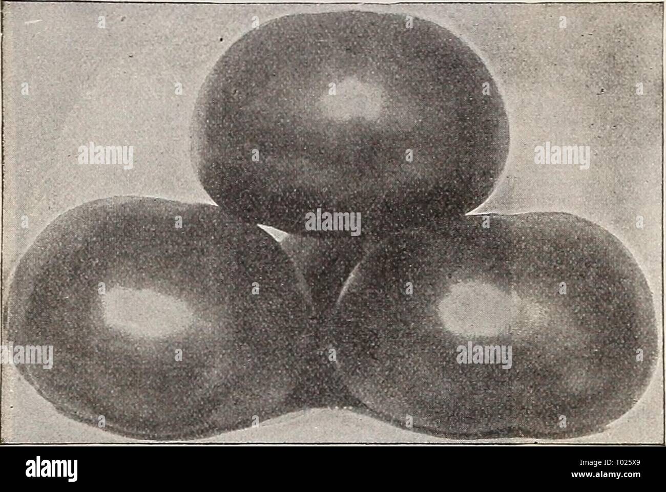 Deep hol way hi-res stock photography and images - Alamy