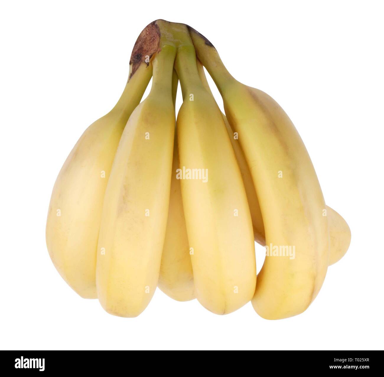 many yellow banana isolated Stock Photo - Alamy