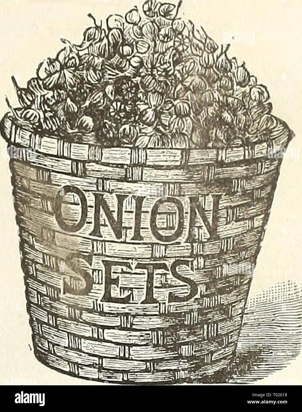 Dreer's garden calendar (1890 Stock Photo - Alamy