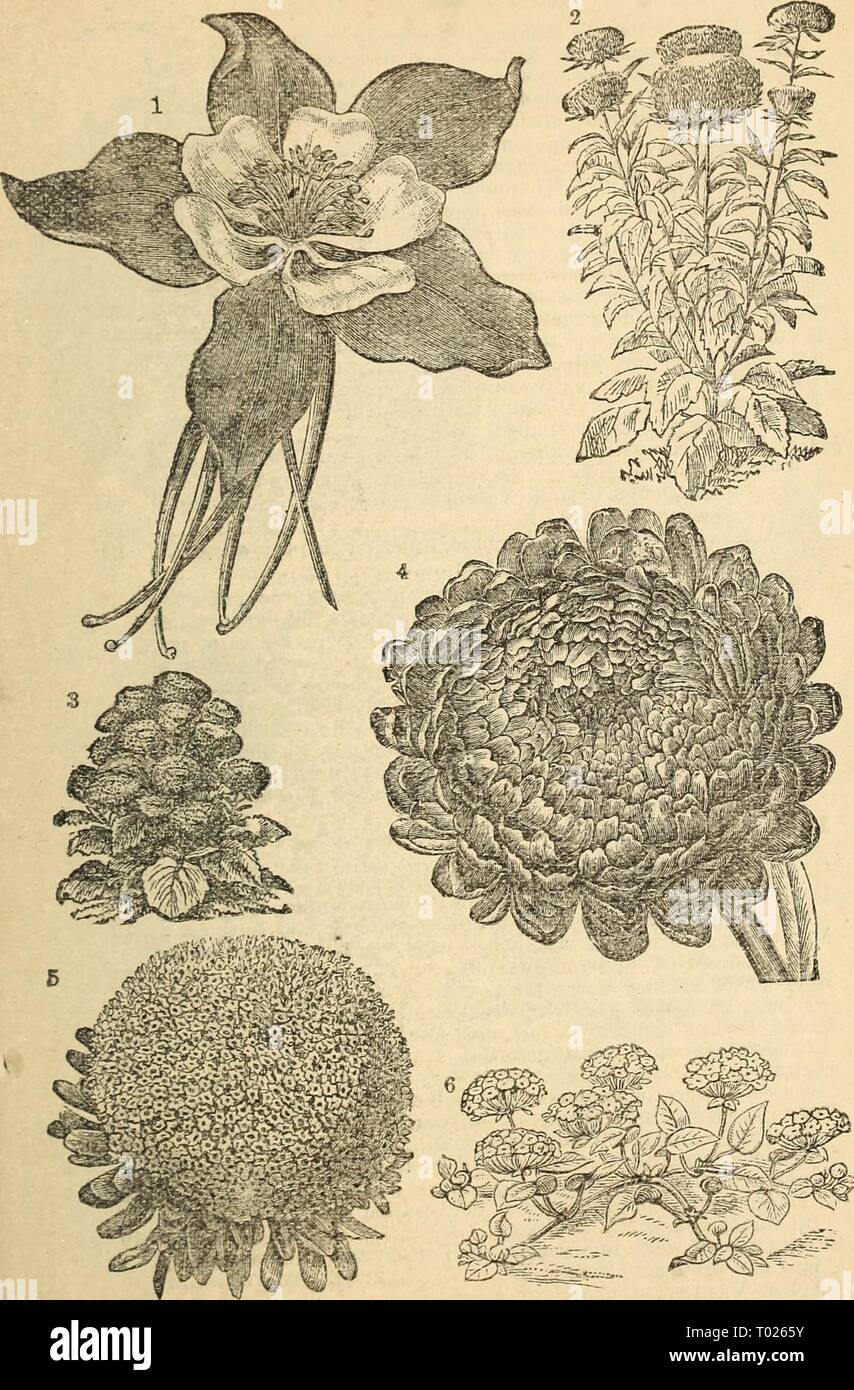 Calendar for year 1878 hi-res stock photography and images - Alamy