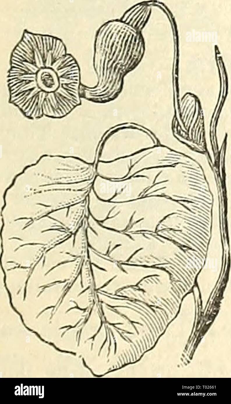 Calendar 1886 hi-res stock photography and images - Alamy