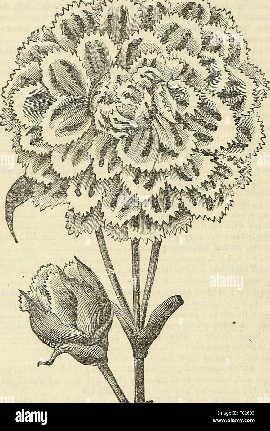 Dreer's garden calendar : 1874 . dreersgardencale1874henr Year: 1874 50 ...