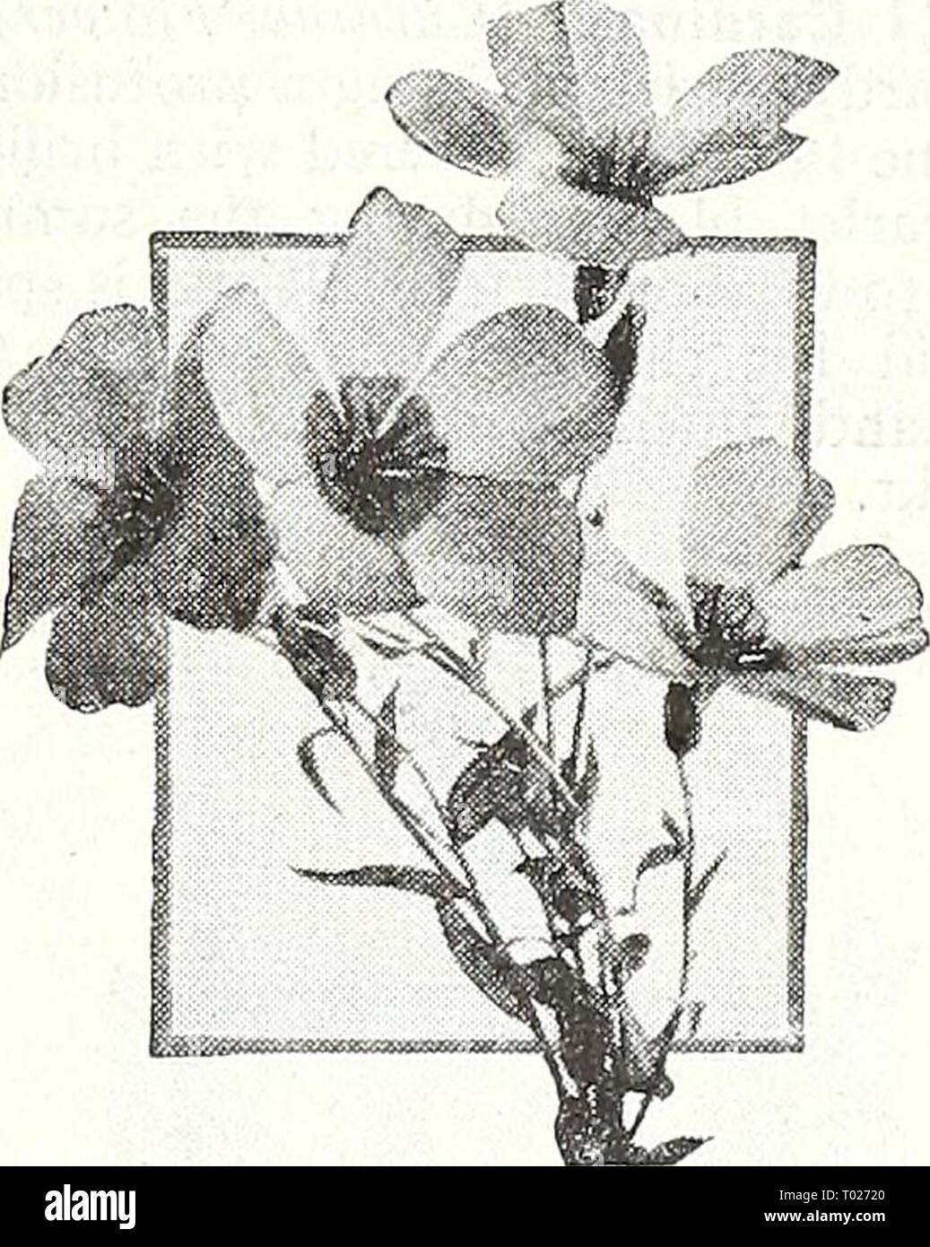 Uniformly moist hi-res stock photography and images - Alamy