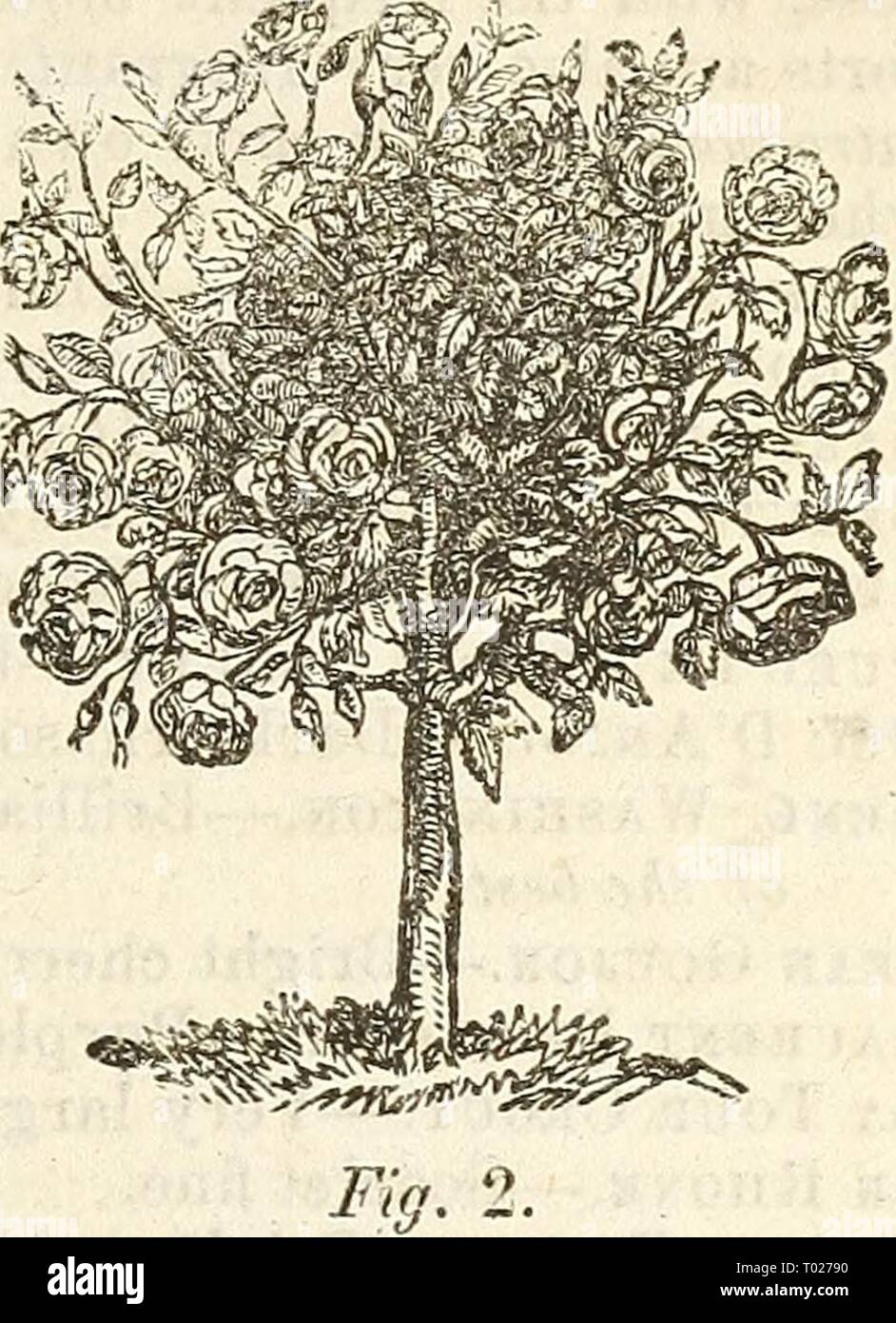 Picture calendar 1866 hi-res stock photography and images - Alamy