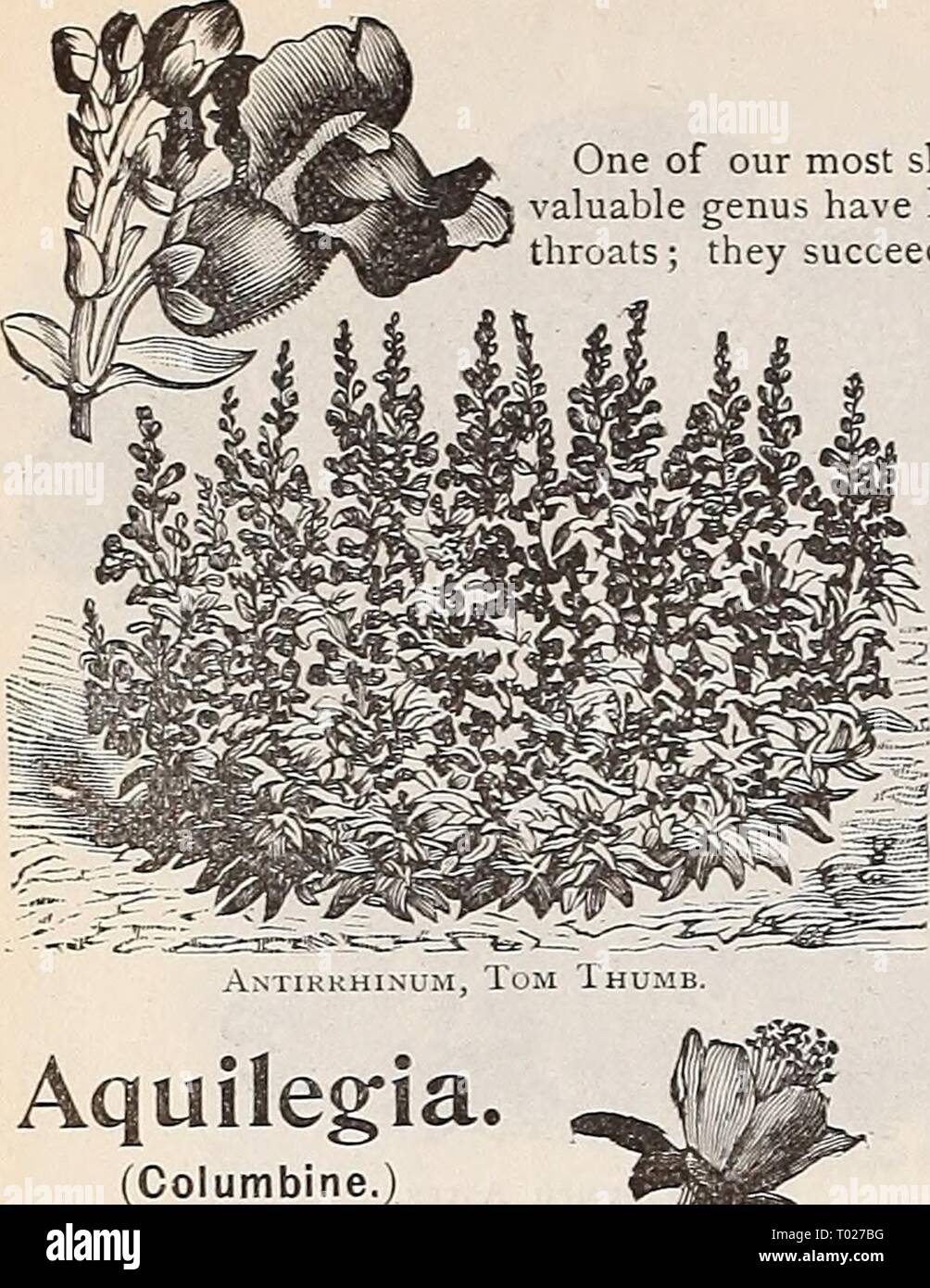 Calendar 1896 hi-res stock photography and images - Alamy