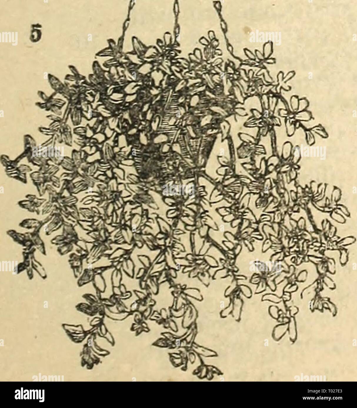 Calendar for year 1878 hi-res stock photography and images - Alamy