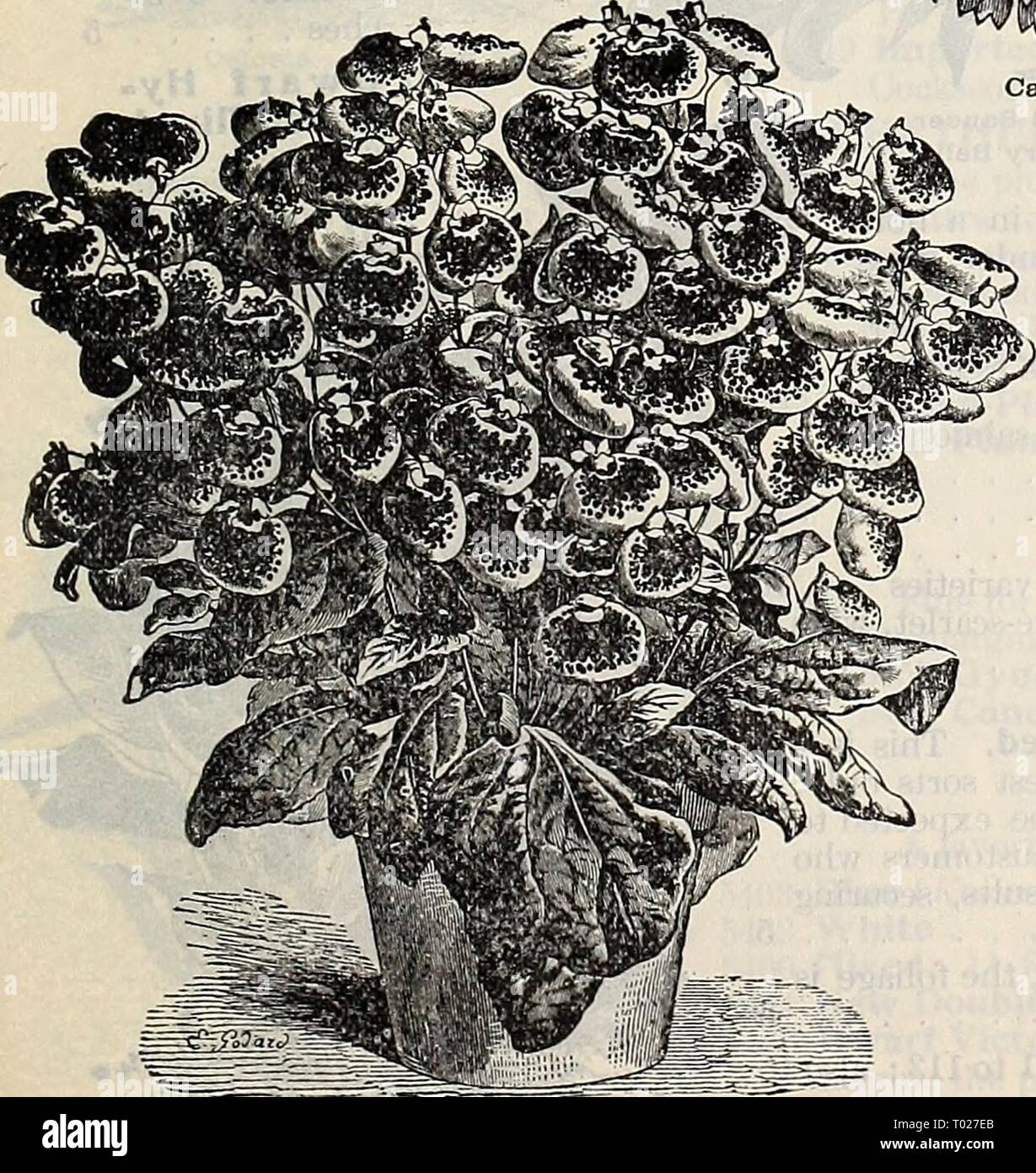 35 foot tall hi-res stock photography and images - Alamy