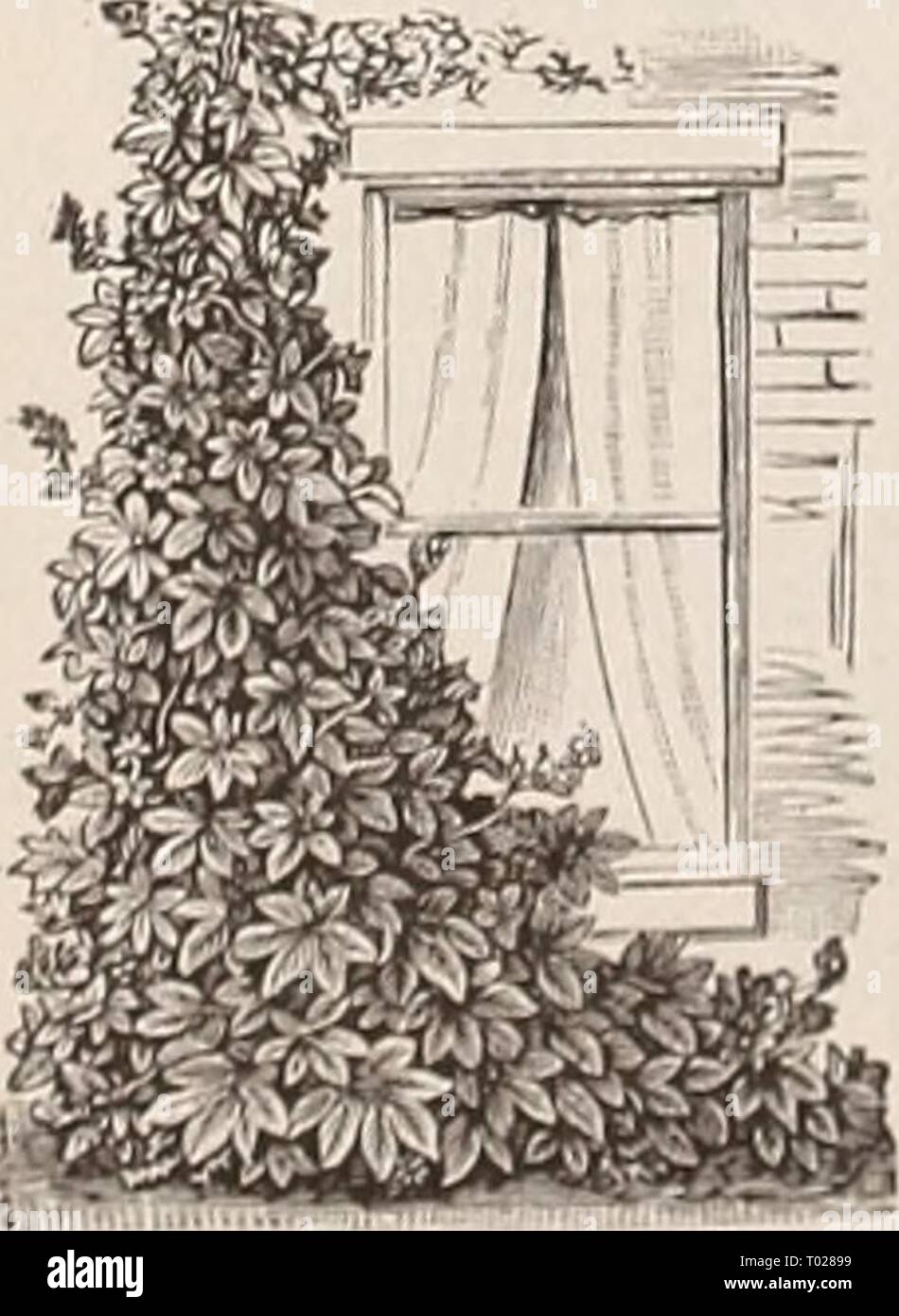 Dreer's garden calendar for 1892 Stock Photo - Alamy