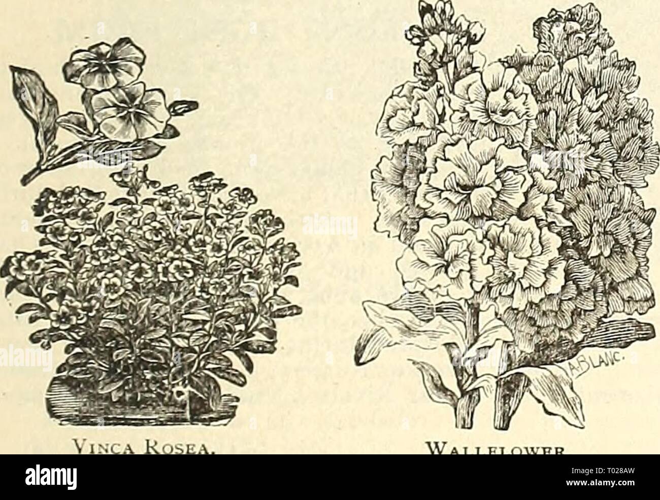 Calendar 1886 hi-res stock photography and images - Alamy