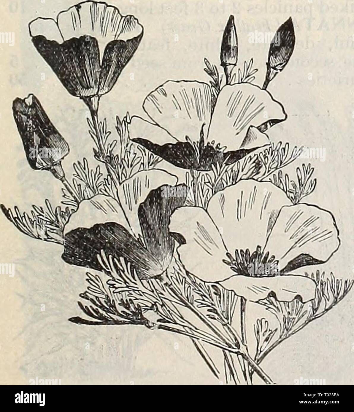 1897 Calendar High Resolution Stock Photography and Images - Alamy