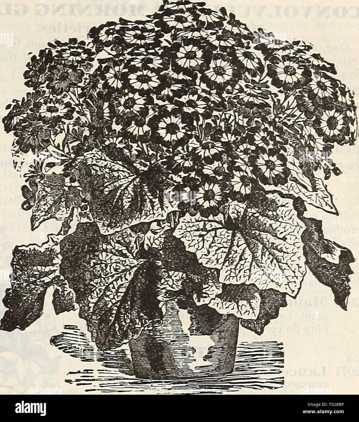 1963 calendar hi-res stock photography and images - Alamy