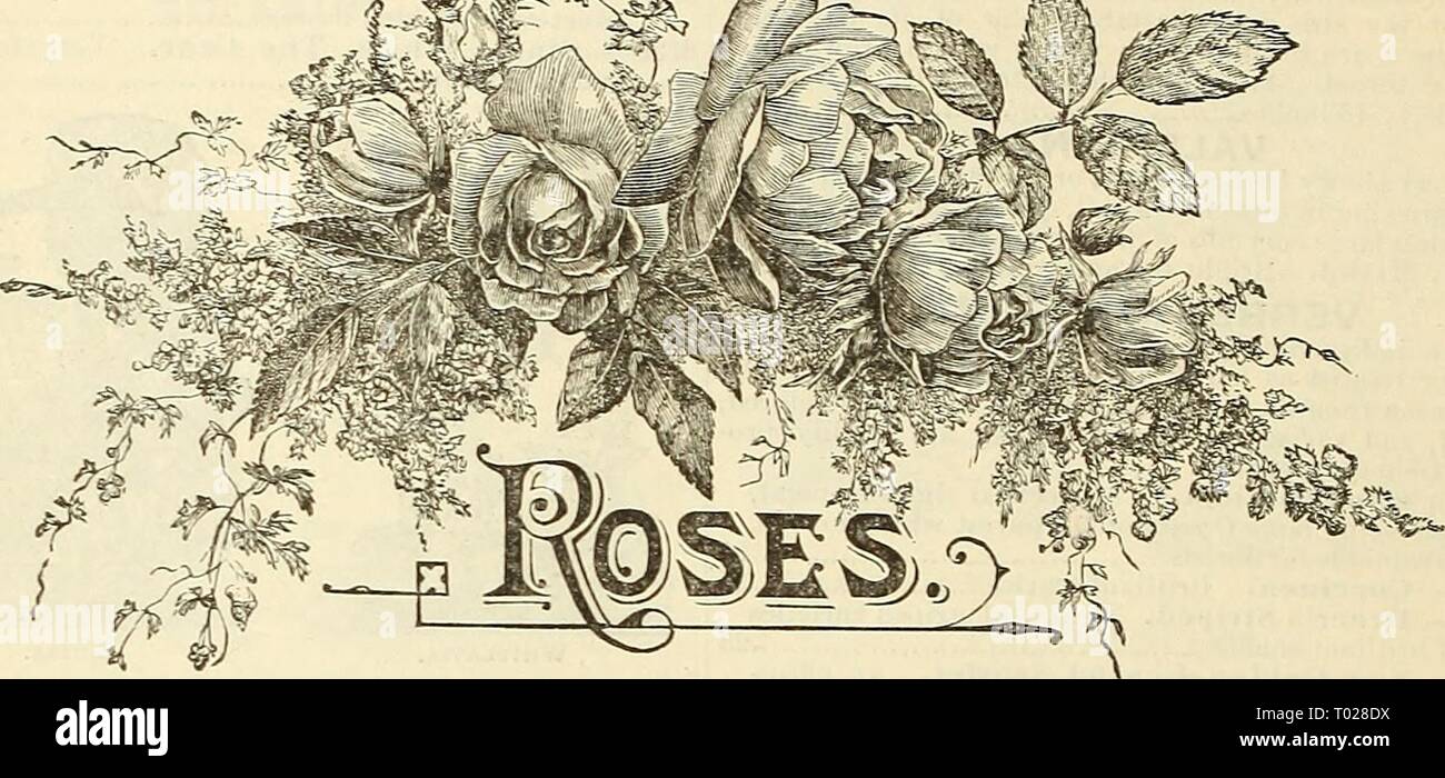 Calendar 1886 hi-res stock photography and images - Alamy