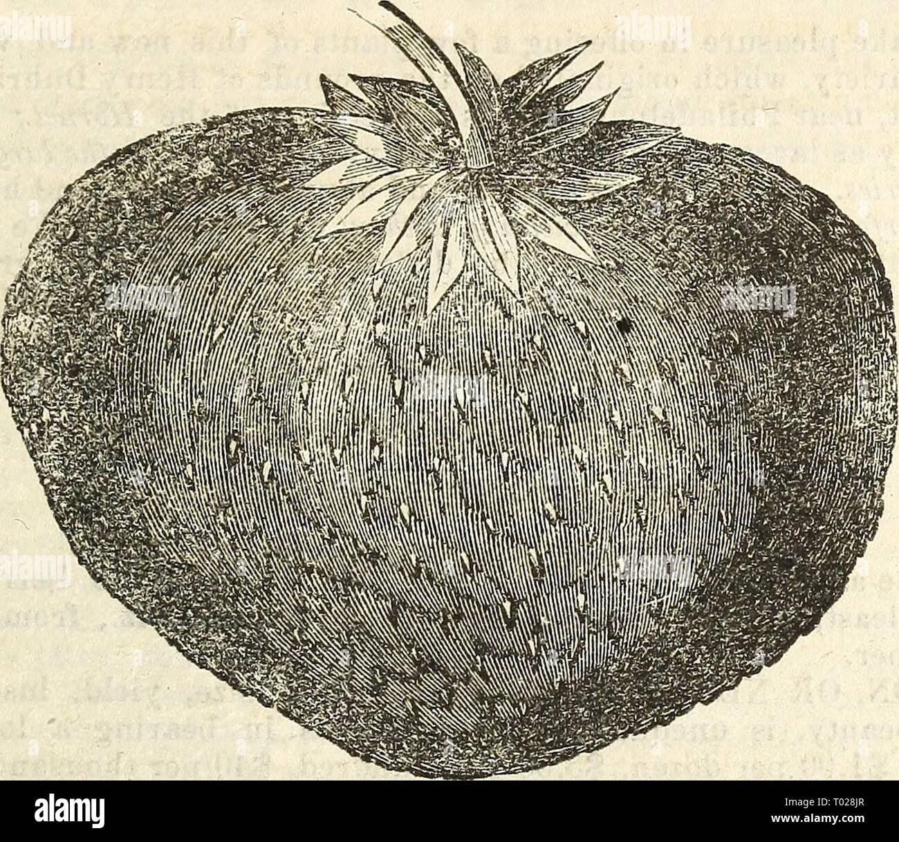 Dreer's garden calendar for 1866 Stock Photo - Alamy