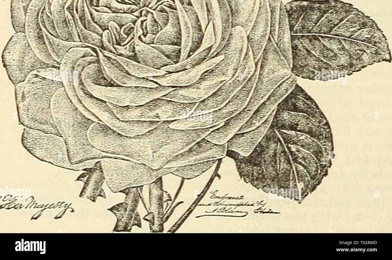 Dreer's garden calendar : 1886 . dreersgardencale1886henr Year: 1886 â ...