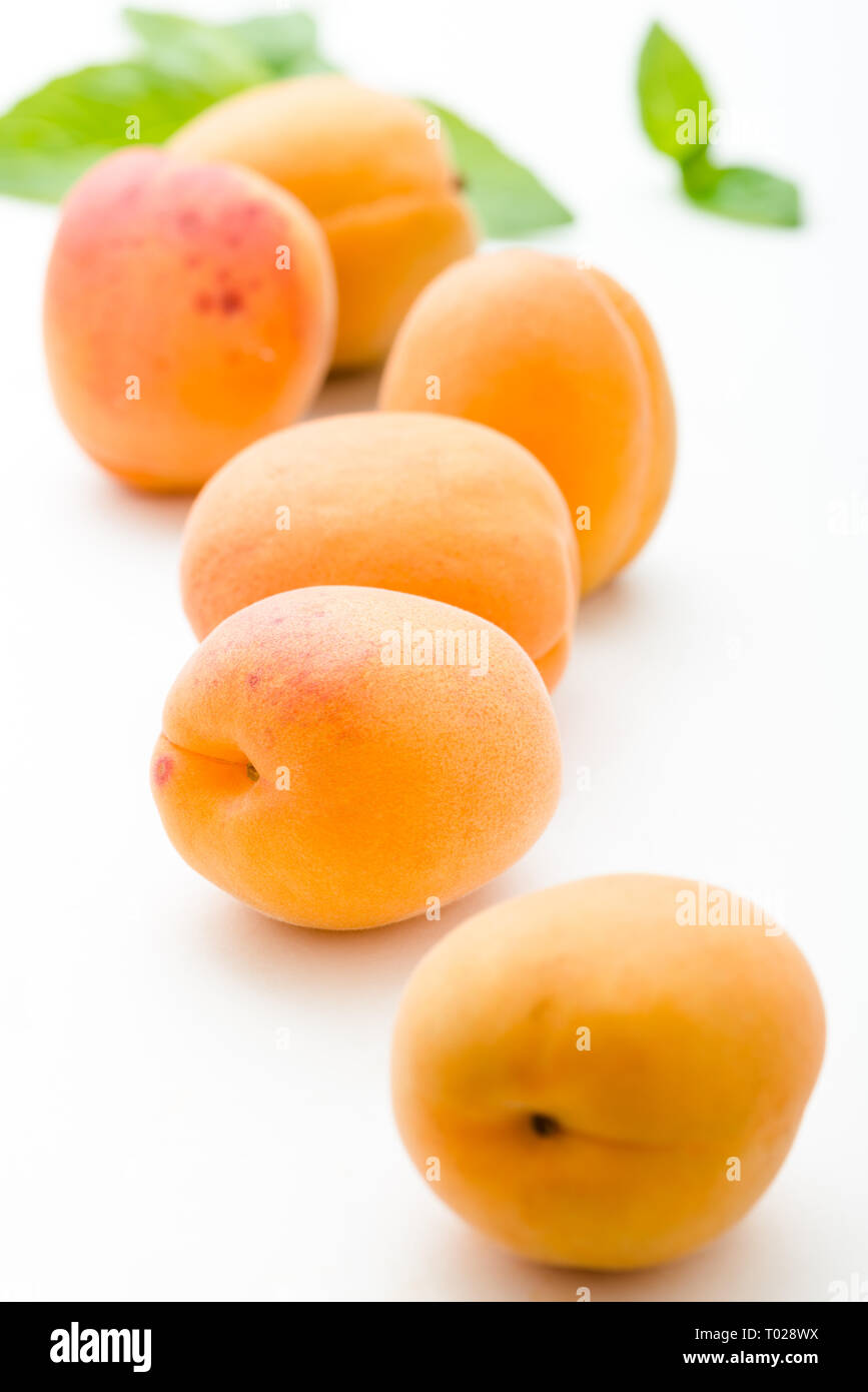 fresh apricots isolated on white Stock Photo - Alamy