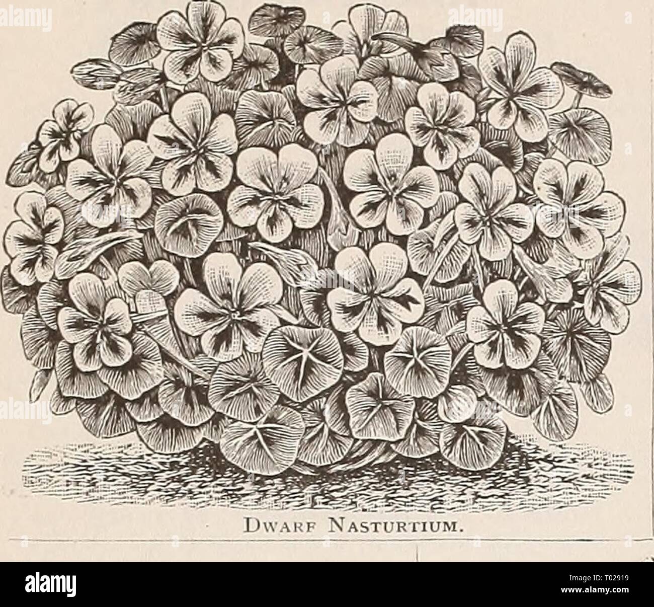 Dreer's garden calendar for 1892 Stock Photo - Alamy