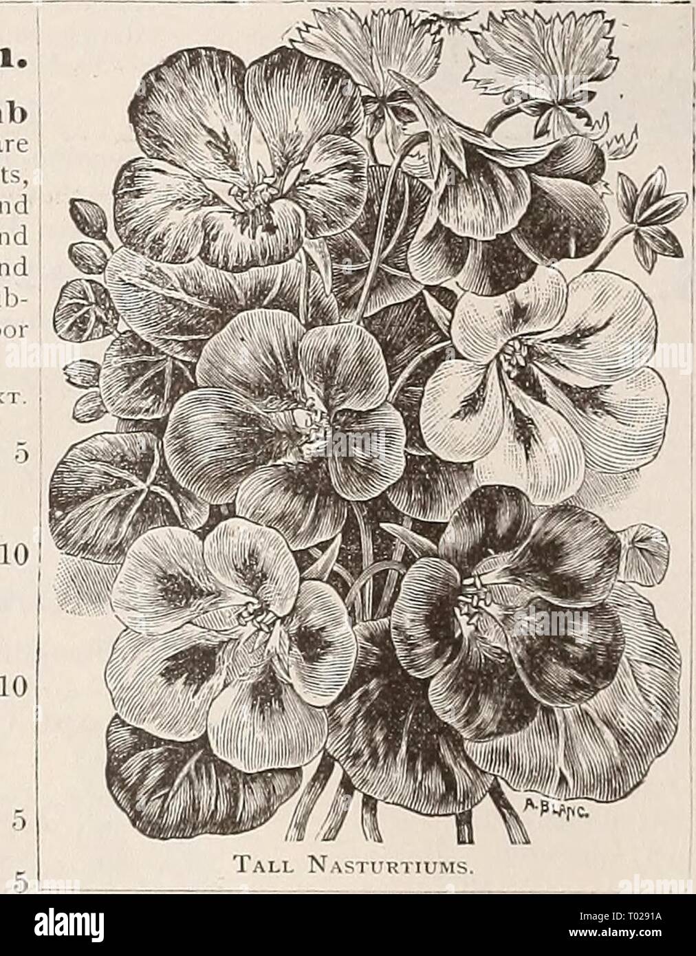 Dreer's garden calendar for 1892 : a catalogue of choice vegetable ...