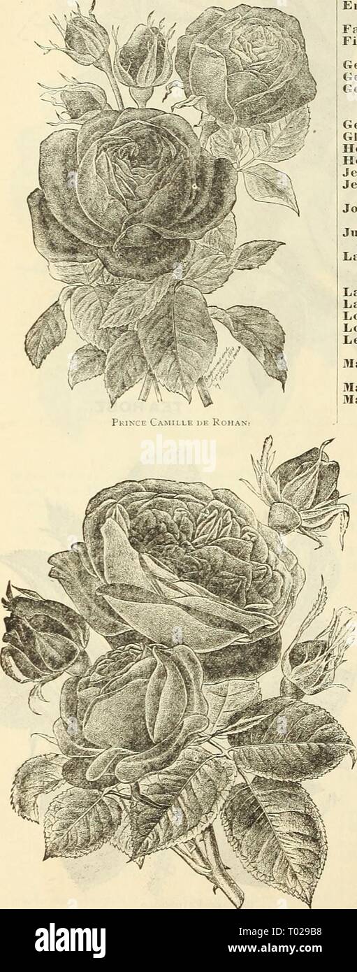 Calendar 1886 hi-res stock photography and images - Alamy