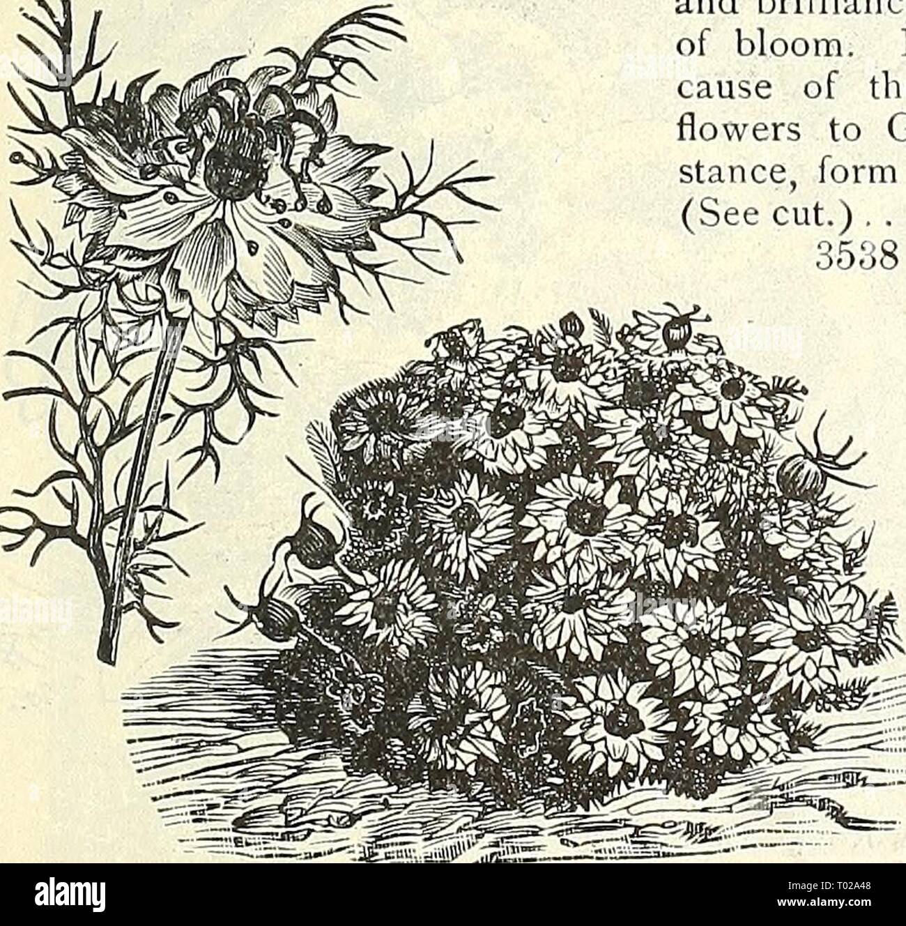 Greenhouse effec hi-res stock photography and images - Alamy