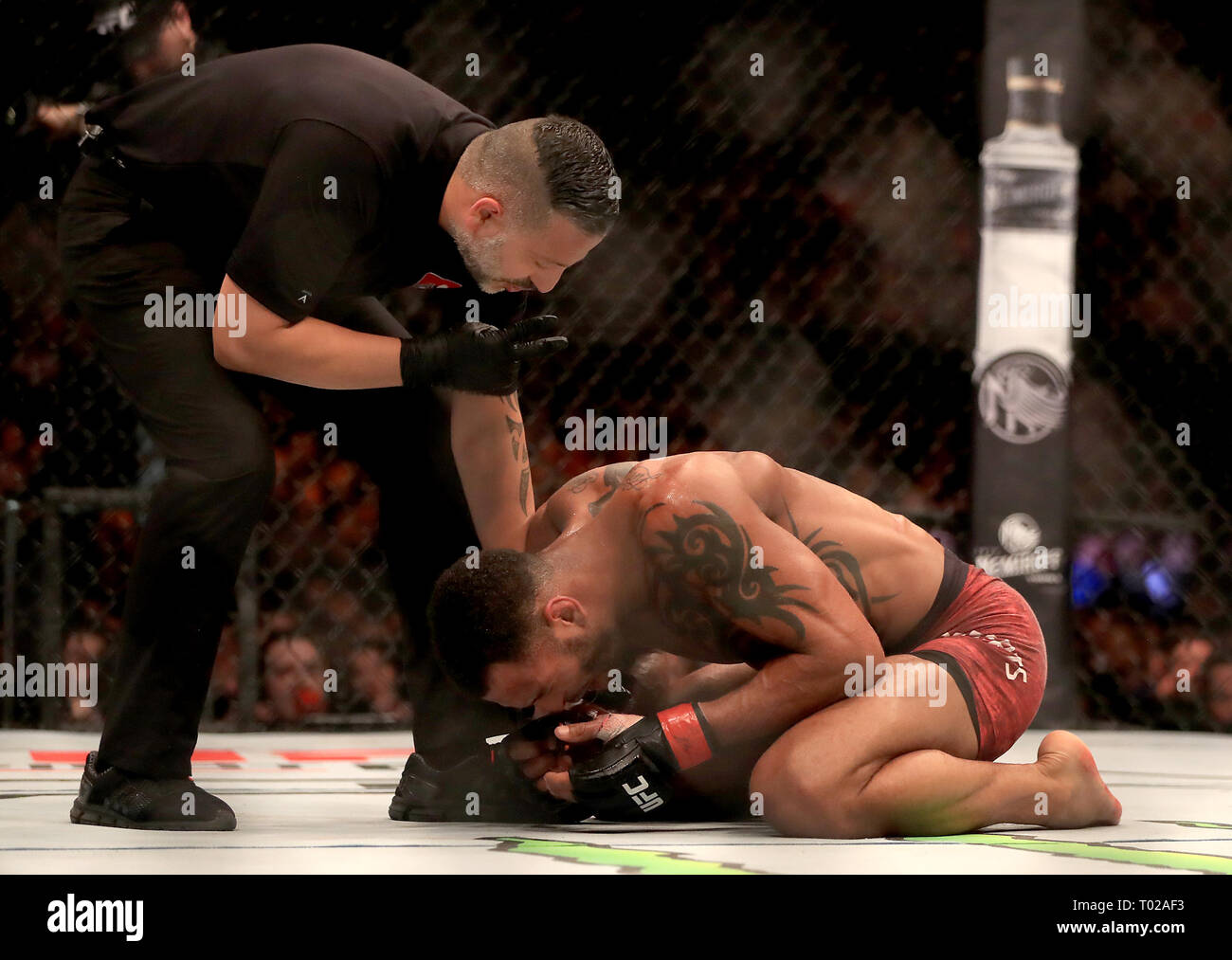 Danny Roberts reacts after losing his Welterweight bout during UFC ...