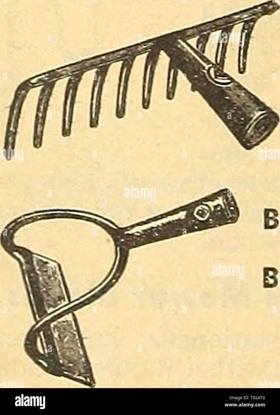 Dreer's garden book for 1945 . dreersgardenbook1945henr Year: 1945 ...