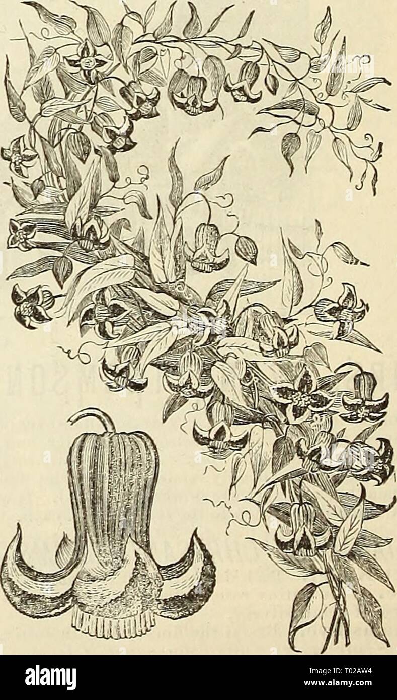 Calendar 1886 hi-res stock photography and images - Alamy