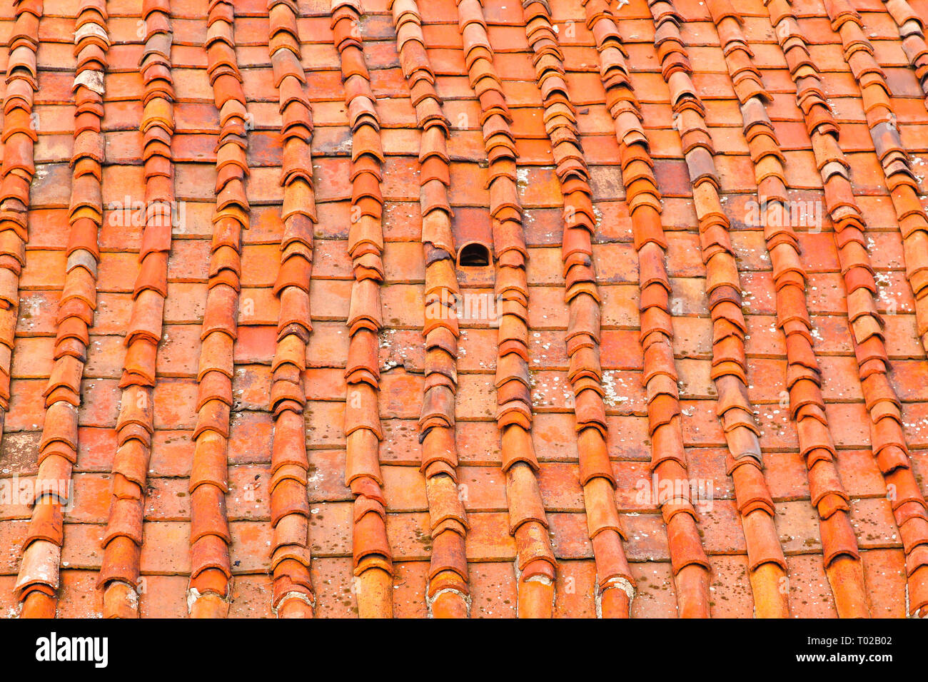 Old roof tile pattern in Florence Tuscany Stock Photo - Alamy