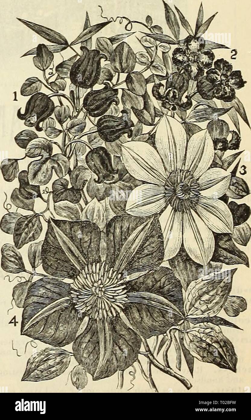 John salter hi-res stock photography and images - Alamy