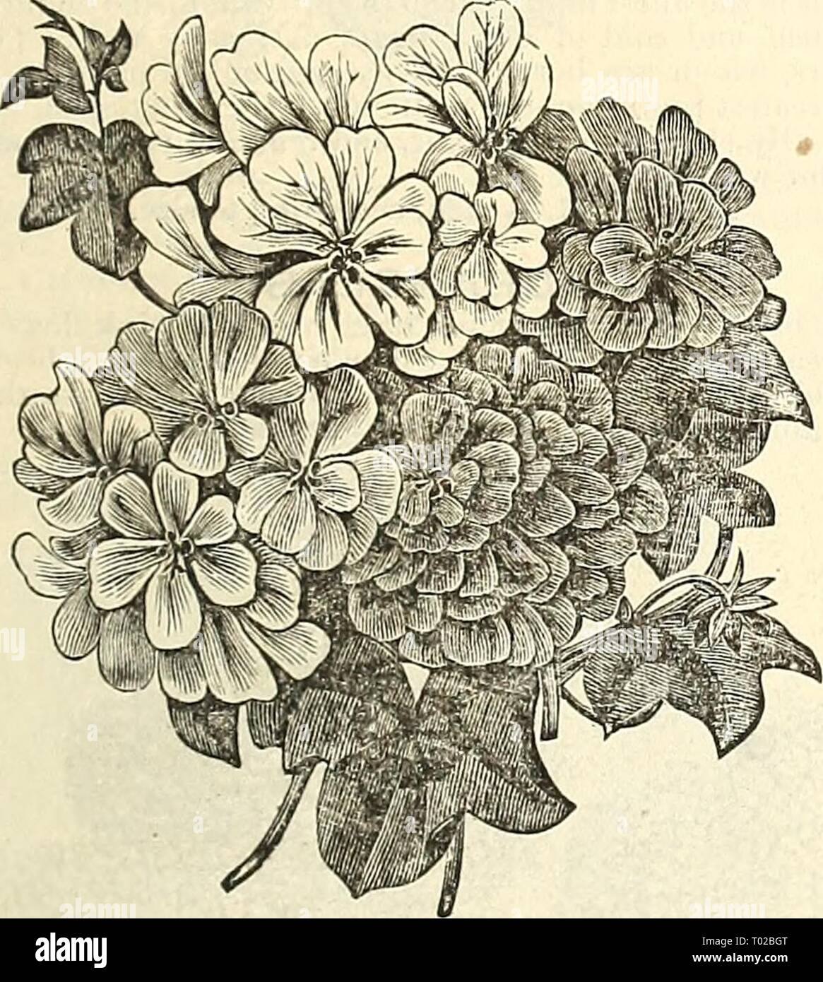 Calendar 1886 hi-res stock photography and images - Alamy