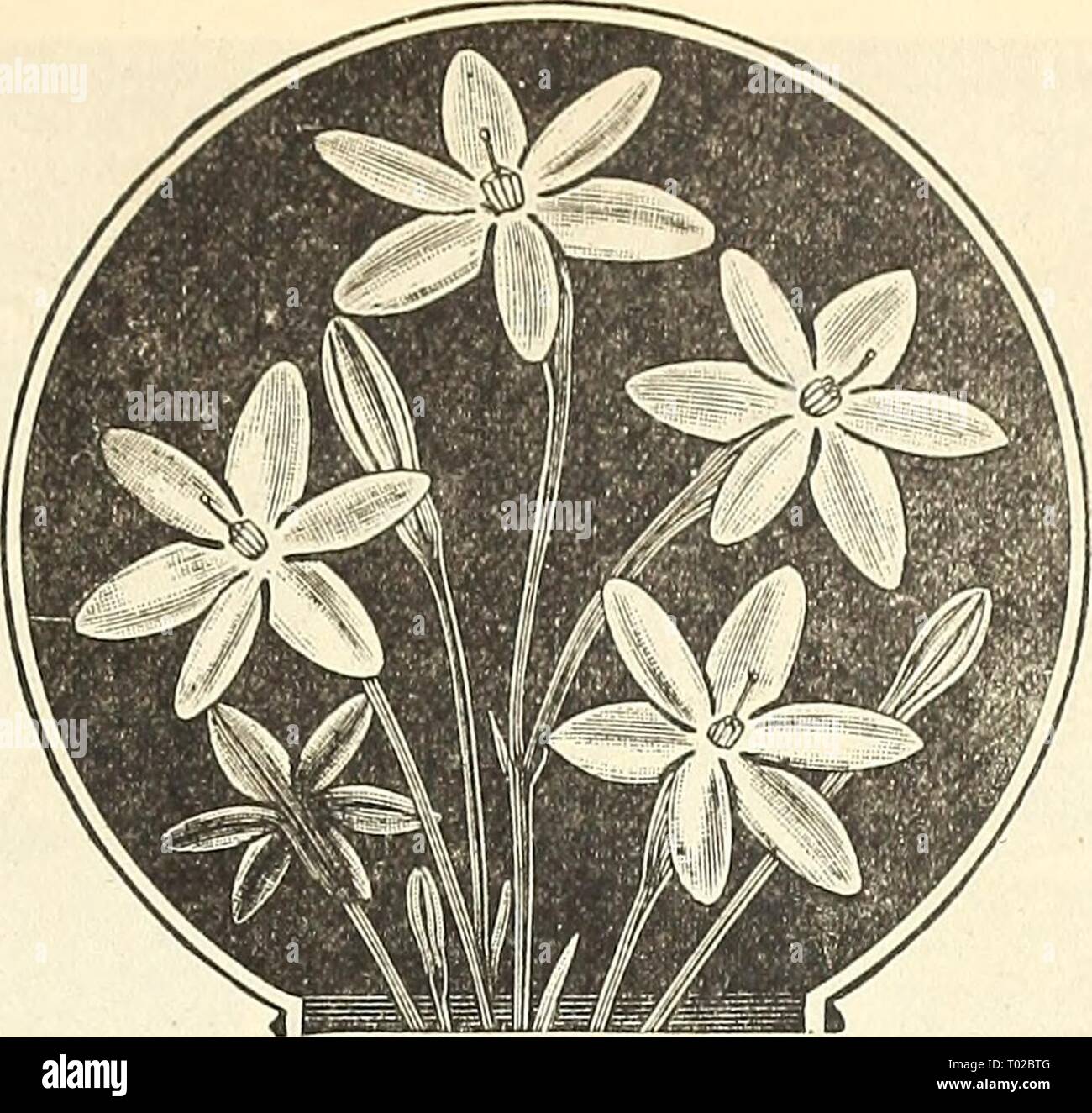 Calendar 1886 hi-res stock photography and images - Alamy