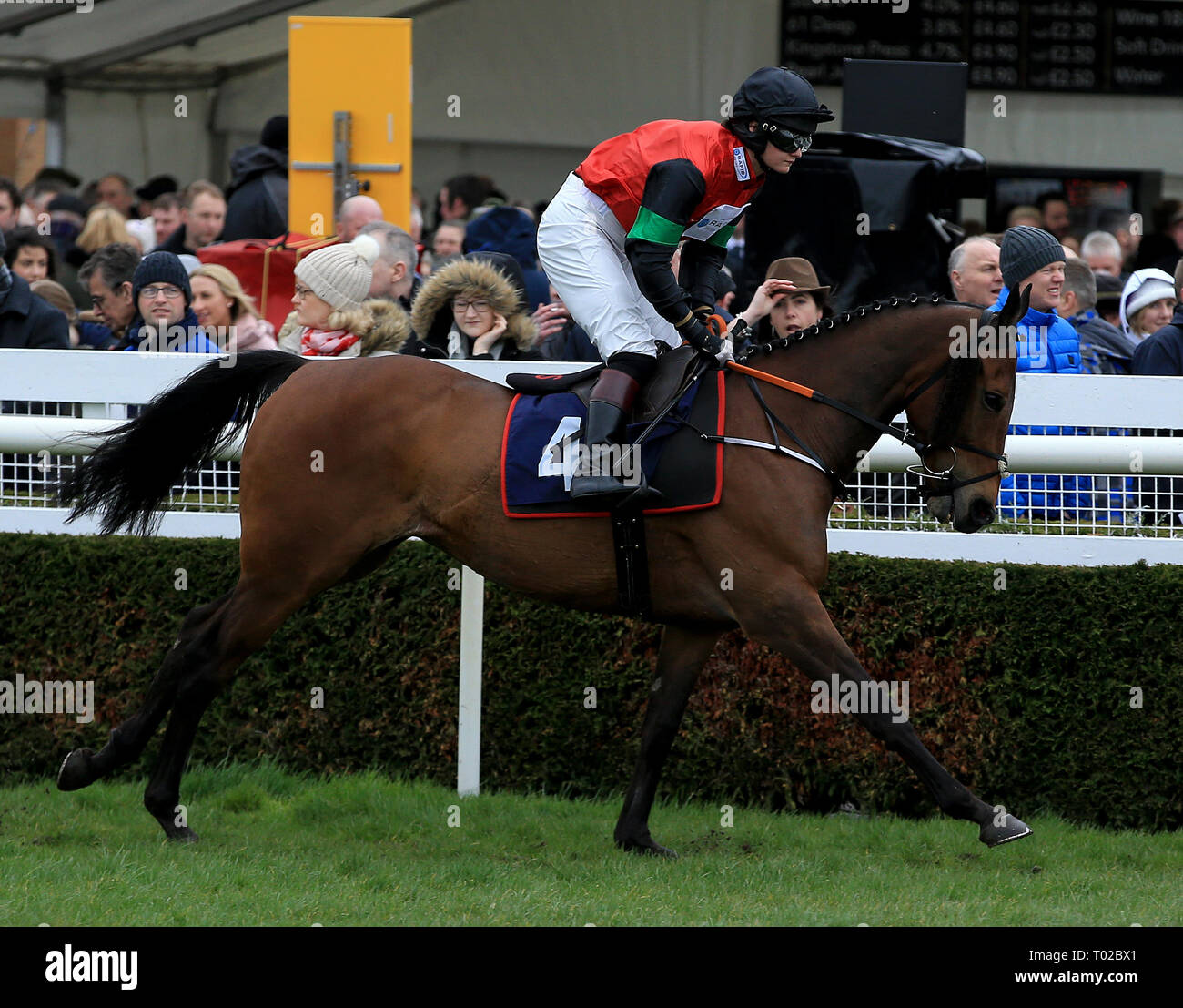 Perfect Man ridden by Miss Alice Stevens during the Abacus Decorators ...