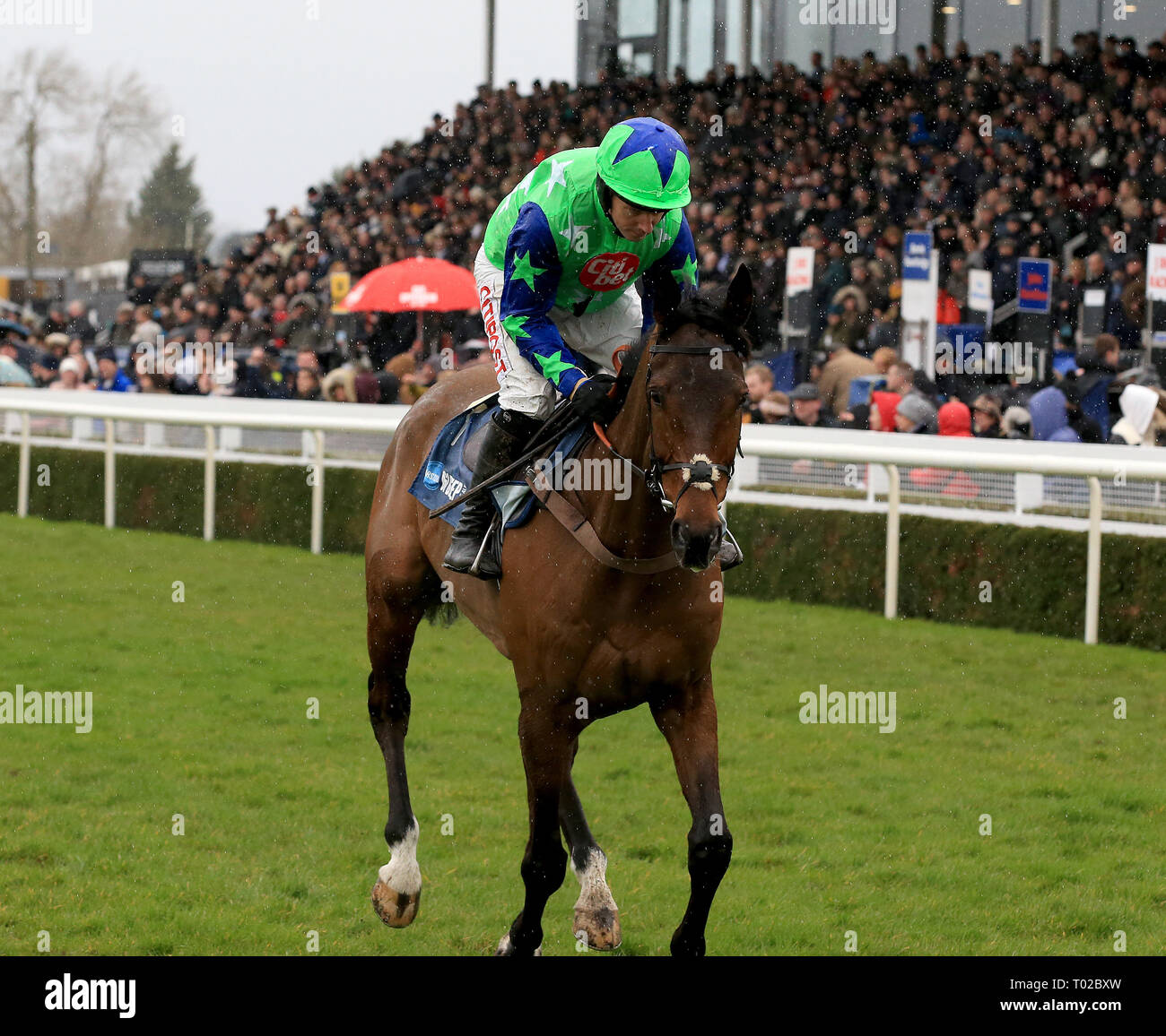 American ridden by Noel Fehily during the Marstons 61 Deep Midlands ...