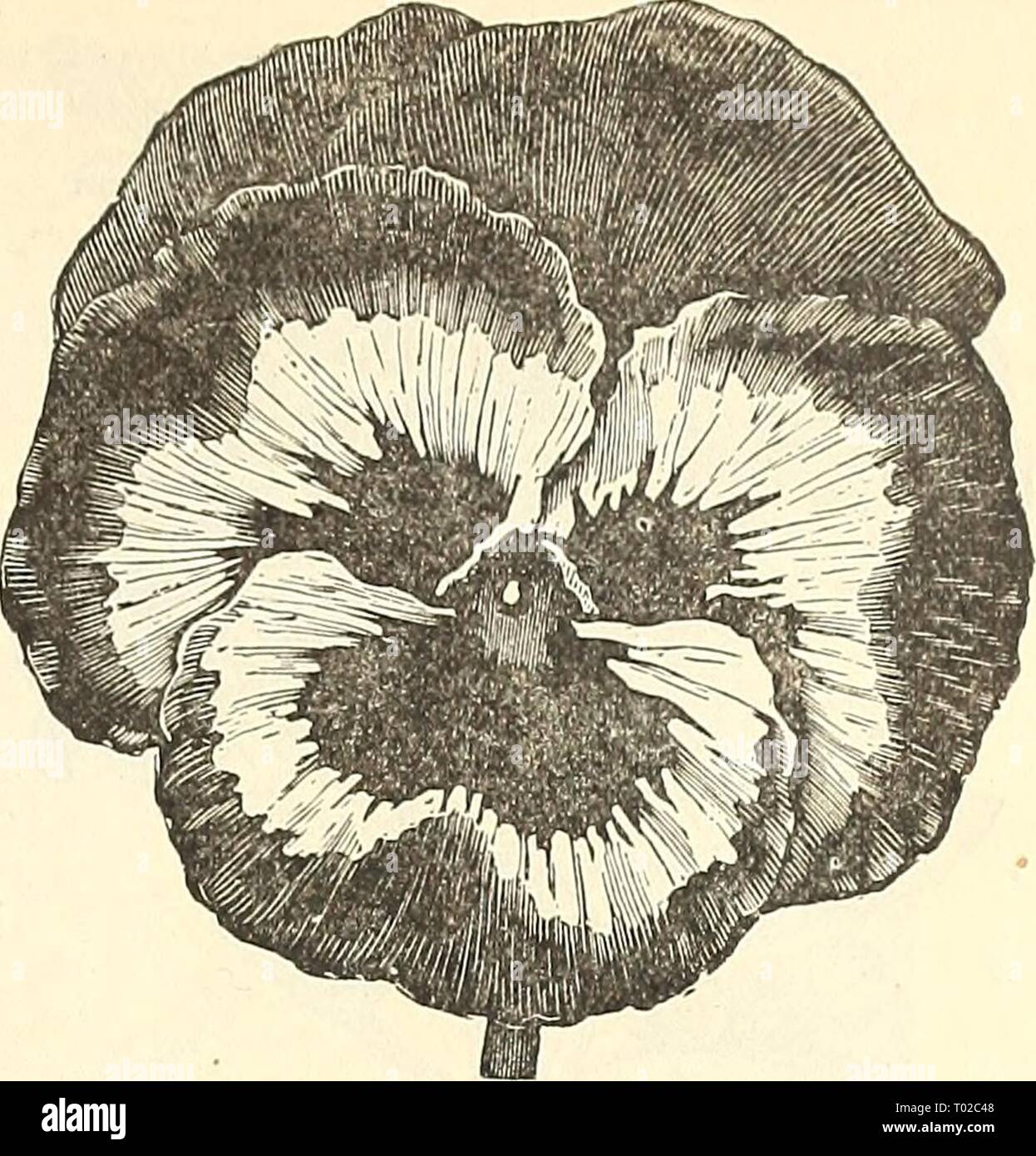 Calendar 1886 hi-res stock photography and images - Alamy