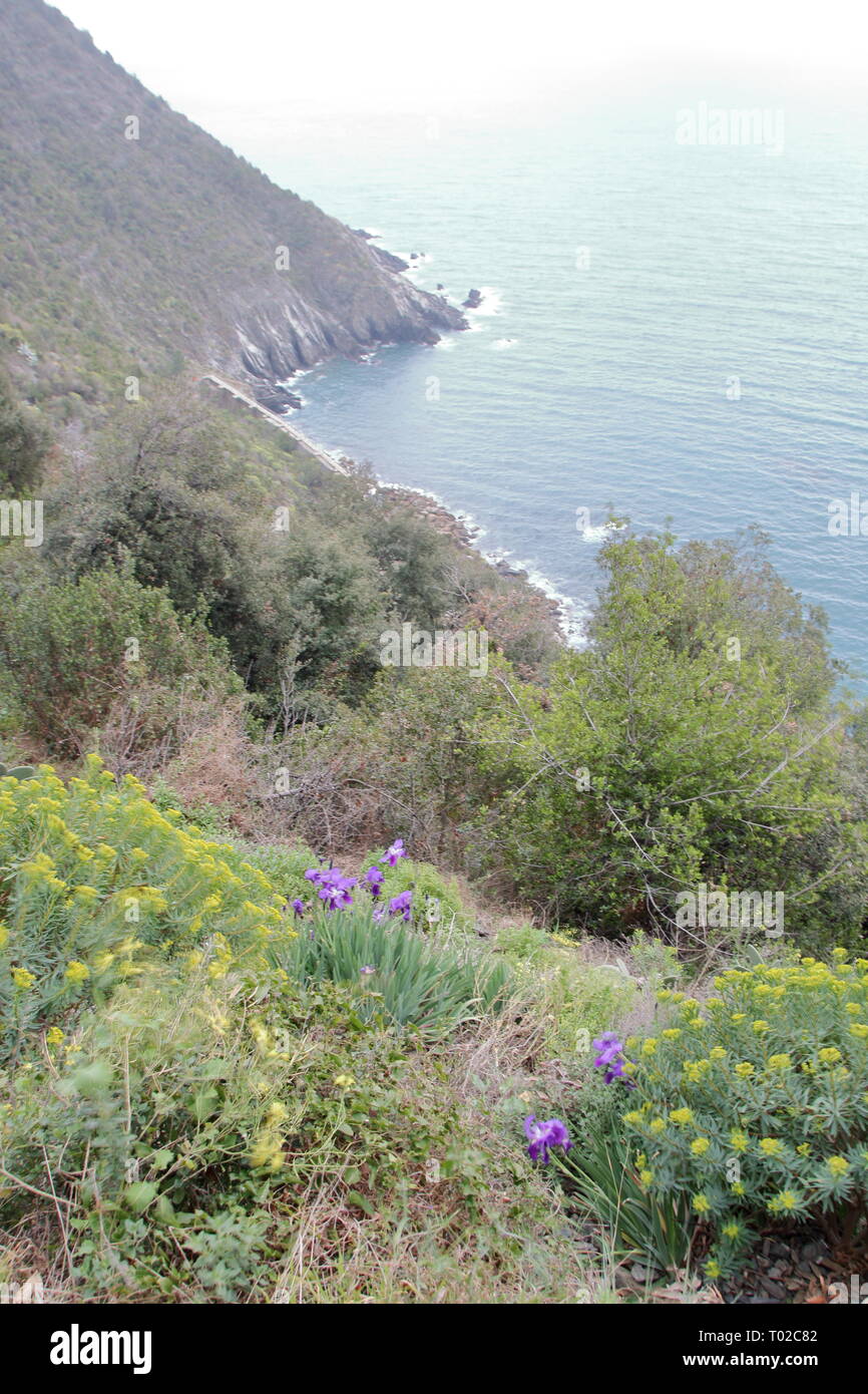 landscape of cinque terre, five lands, in Liguria Stock Photo - Alamy