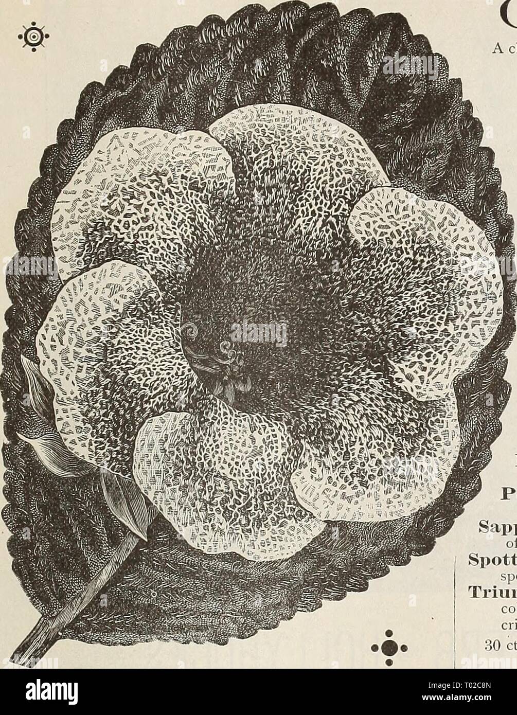 Dreer's garden calendar for 1892 Stock Photo - Alamy
