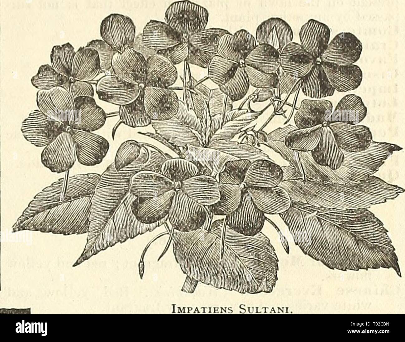 Perpetual calendar drawing hi-res stock photography and images - Alamy