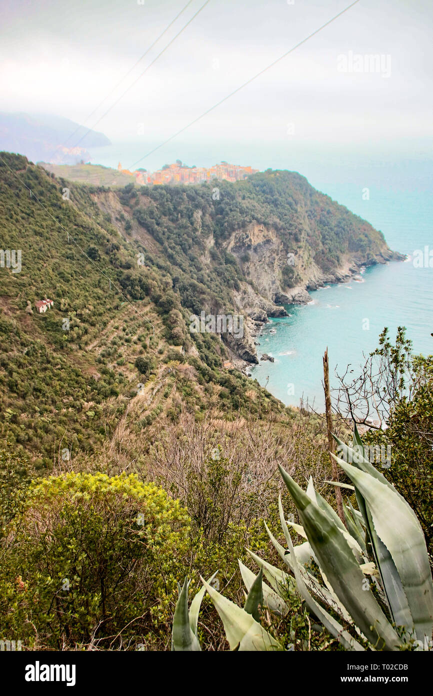 Five lands hi-res stock photography and images - Alamy