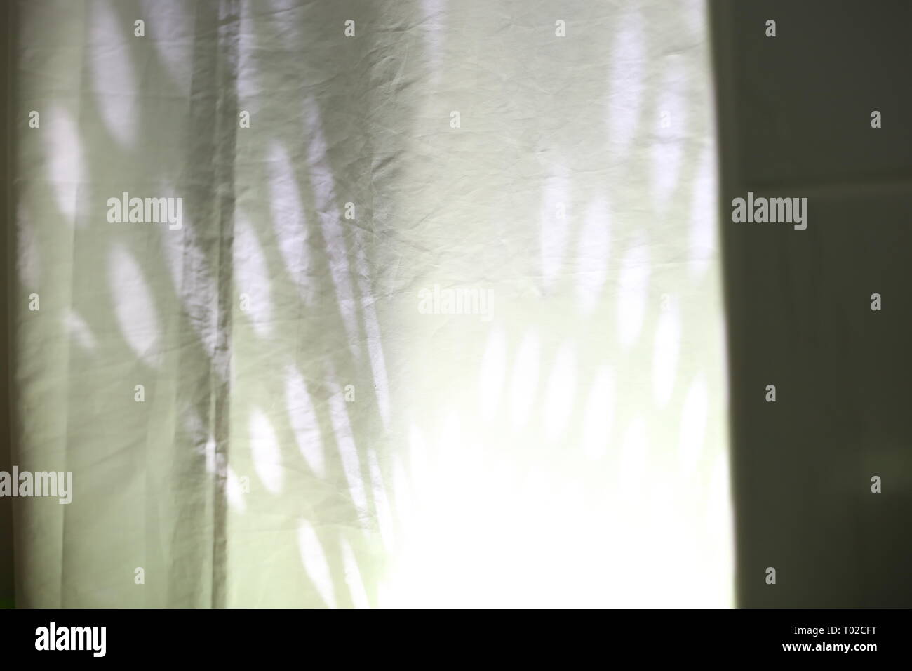 Shadow-casting - Textured pattern in silhouette projected against a ...