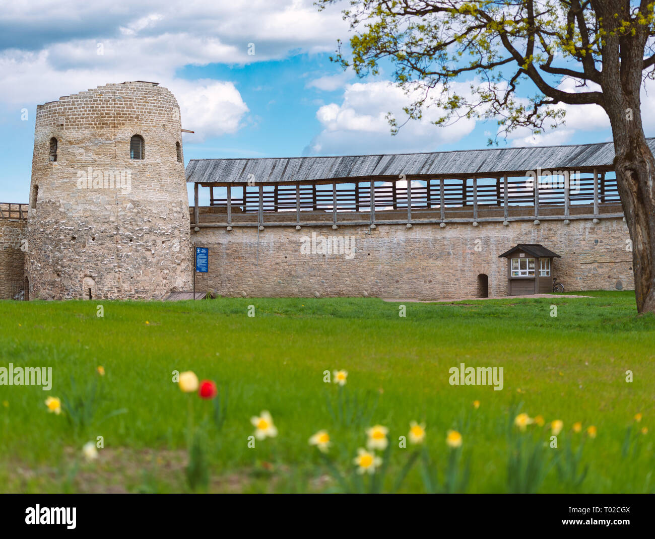 Old medieval castle of Izborsk in Russia. Tower and castle wall with ...