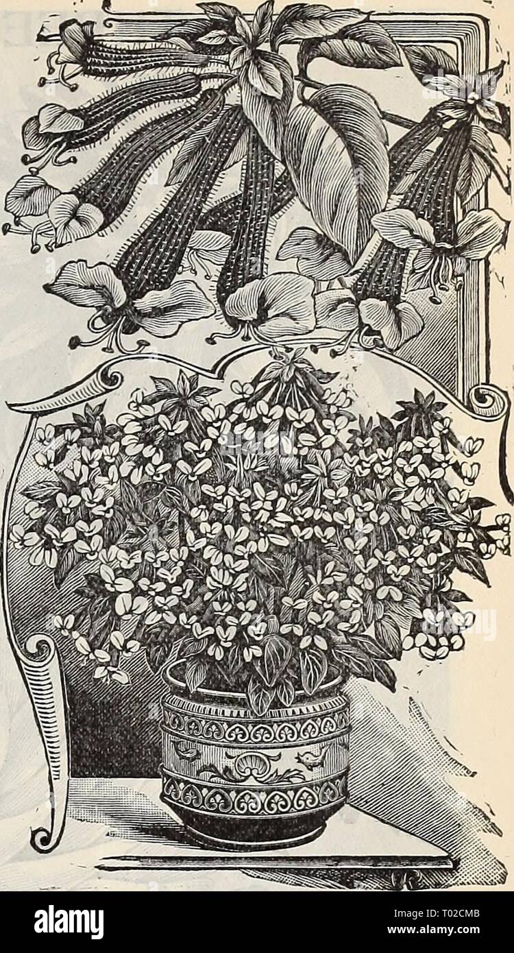 Dreer's garden calendar : 1897 . dreersgardencale1897henr Year: 1897 ...