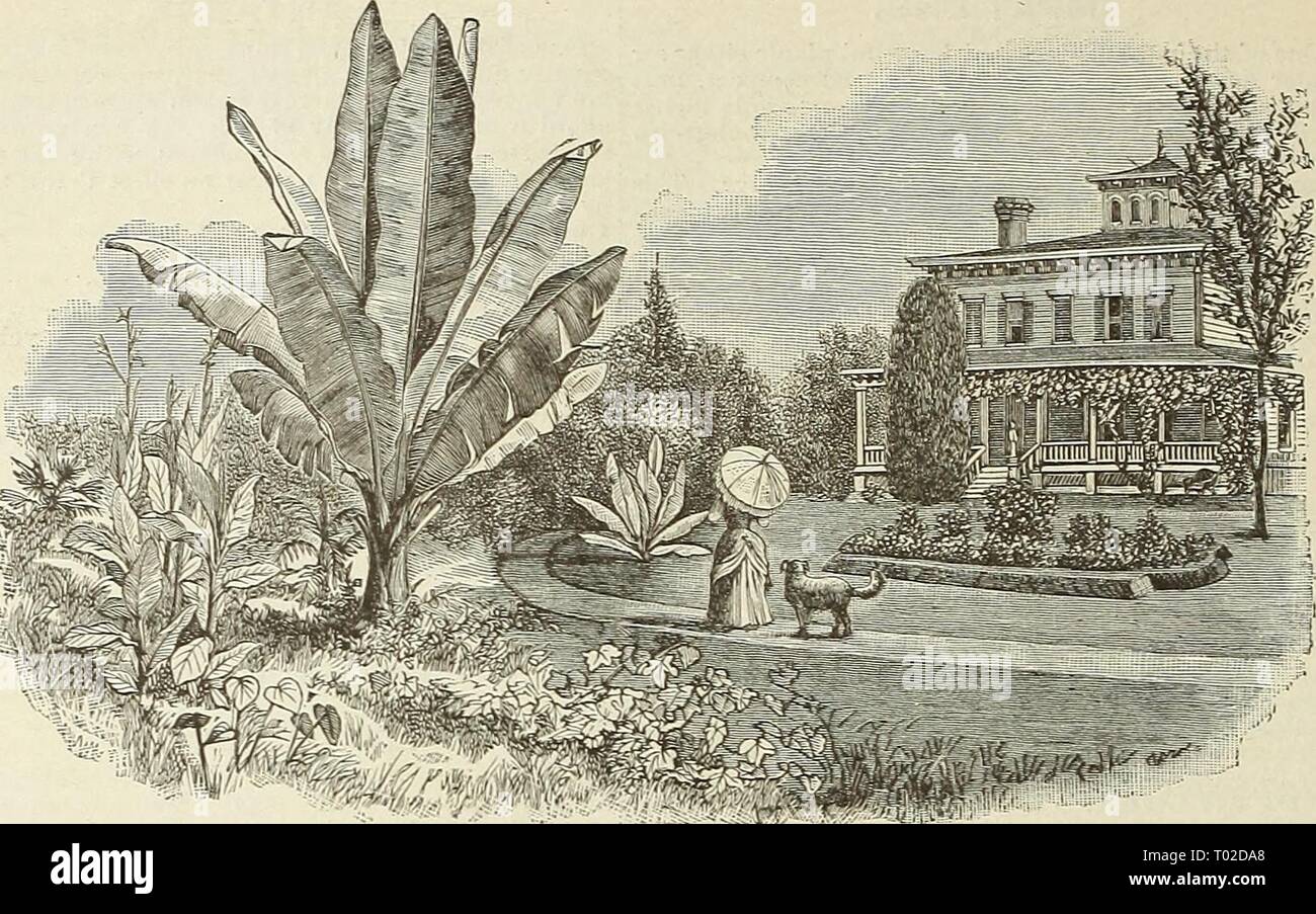 Dreer's garden calendar (1890 Stock Photo - Alamy