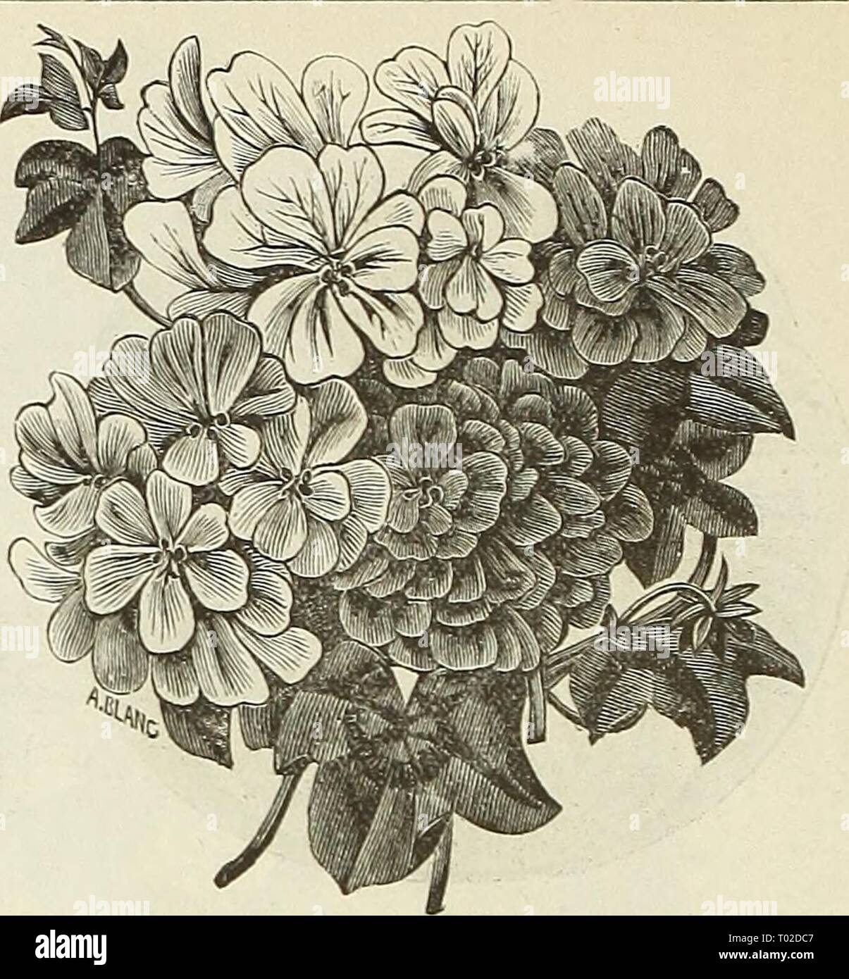 Emile Girardin High Resolution Stock Photography and Images - Alamy