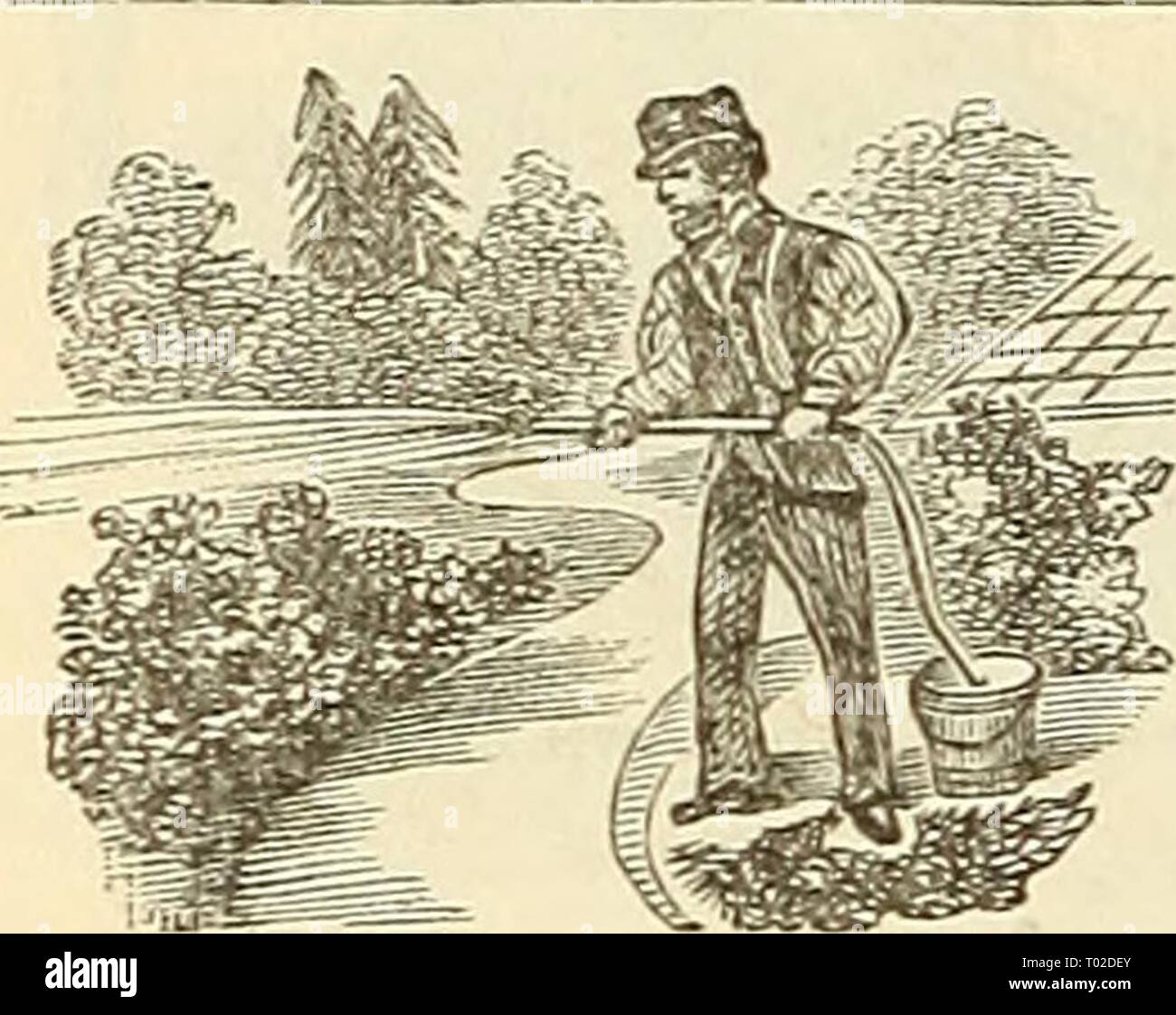Dreer's garden calendar : 1886 . dreersgardencale1886henr Year: 1886 ...
