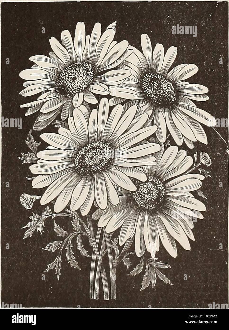 Dreer's garden calendar for 1892 Stock Photo - Alamy