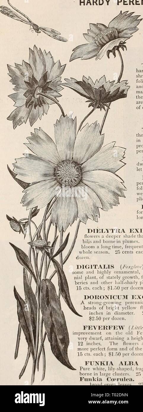 Dreer's garden calendar for 1892 Stock Photo - Alamy