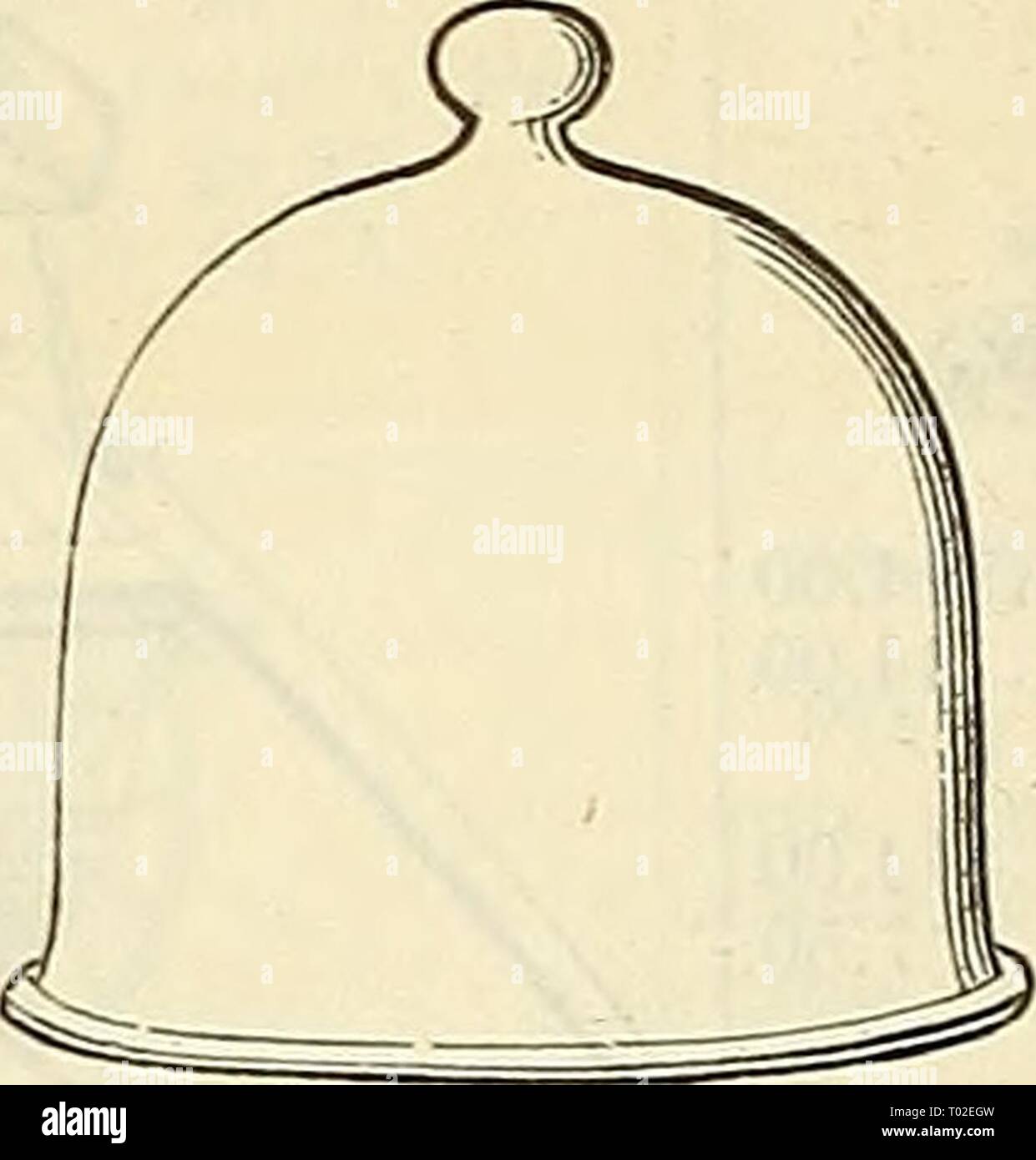 Plant cutting with labels hi-res stock photography and images - Alamy