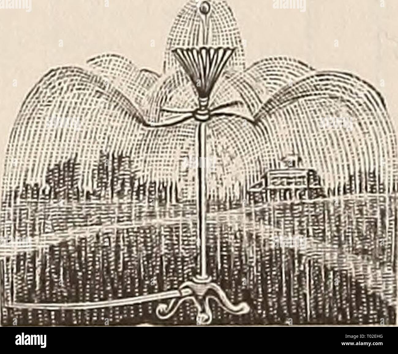 Best crown patterns hi-res stock photography and images - Alamy