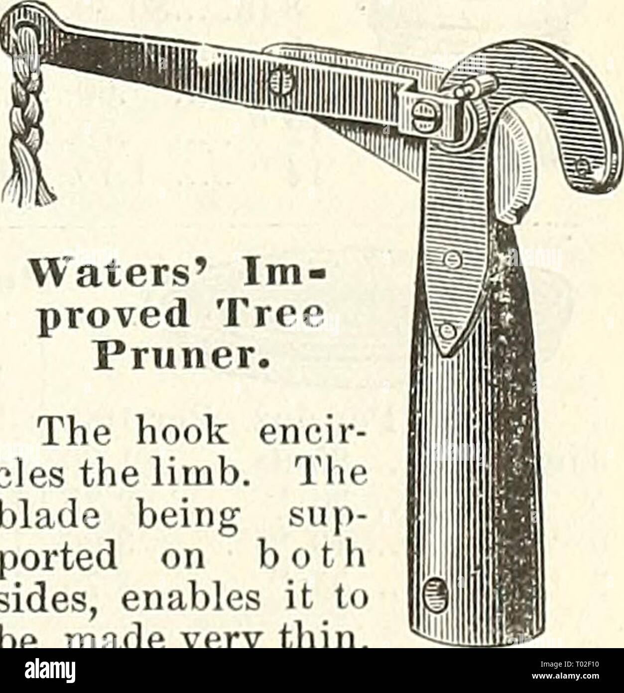 Extra limb illustration hi-res stock photography and images - Alamy