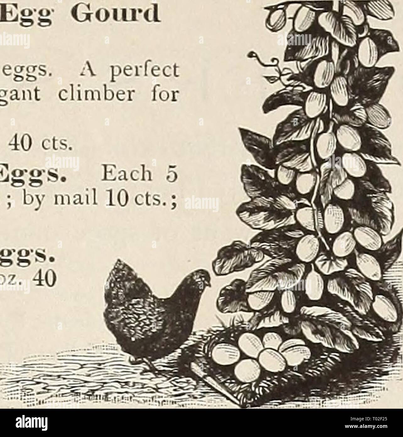 Dreer's garden calendar for 1892 Stock Photo - Alamy